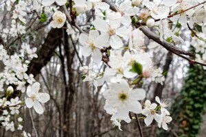 Spring season in Romania Travel Tips | My Romanian Trip